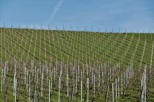 Ansteigend bilder – Bläddra bland 764 stockfoton, vektorer och videor ...