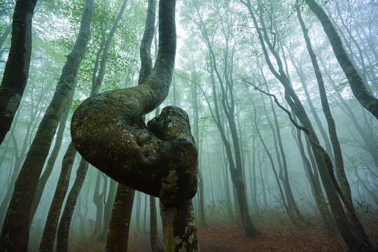 Cambrée Images – Parcourir 6,554 le catalogue de photos, vecteurs et ...