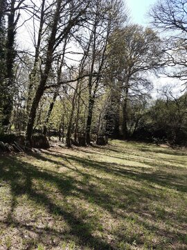 Reingefallen Bilder – Durchsuchen 1,718 Archivfotos, Vektorgrafiken und ...