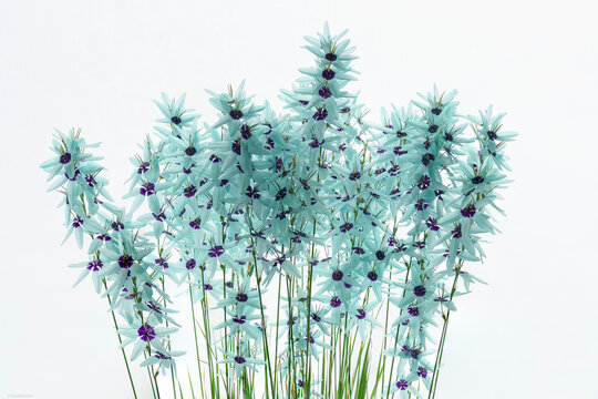 "Powder Blue" Images – Browse 5,919 Stock Photos, Vectors, and Video ...