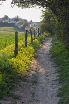 รูปภาพSandweg – เลือกดูภาพถ่ายสต็อก เวกเตอร์ และวิดีโอ1,099 | Adobe Stock