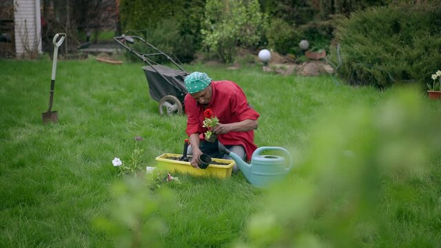 "Extreme Wide Shot" Images – Browse 1,183 Stock Photos, Vectors, and ...