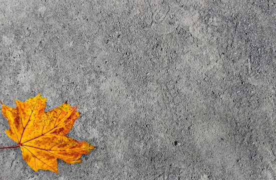 「Unge」の写真素材 | 1,065件の無料イラスト画像 | Adobe Stock