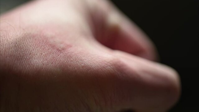 Wheals Images – Browse 486,301 Stock Photos, Vectors, and Video | Adobe ...