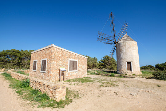 Pitiusas Images – Browse 2,202 Stock Photos, Vectors, and Video | Adobe ...