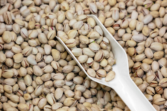 Plethora Images – Browse 709 Stock Photos, Vectors, and Video | Adobe Stock