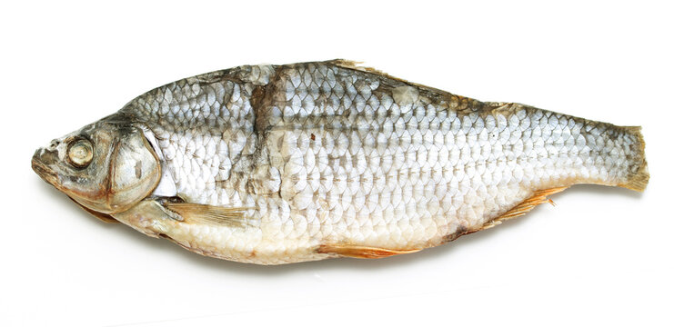 รูปภาพVobla – เลือกดูภาพถ่ายสต็อก เวกเตอร์ และวิดีโอ2,504 | Adobe Stock