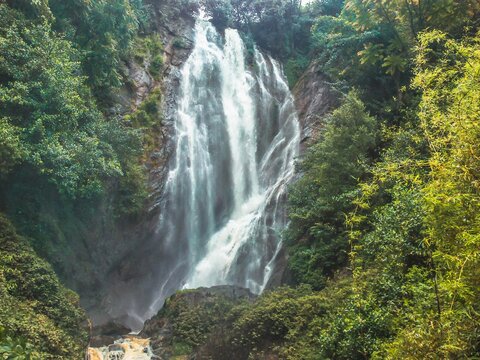 Siripade Images – Browse 52 Stock Photos, Vectors, and Video | Adobe Stock