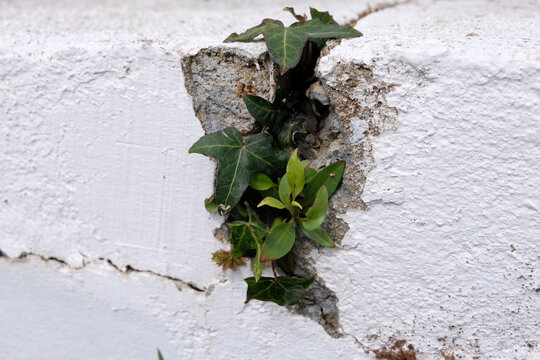 Imagens de Interstice – Explore Fotografias do Stock, Vetores e Vídeos ...