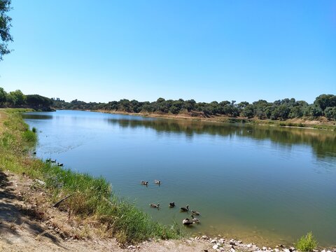 Patudos Images – Browse 13 Stock Photos, Vectors, and Video | Adobe Stock