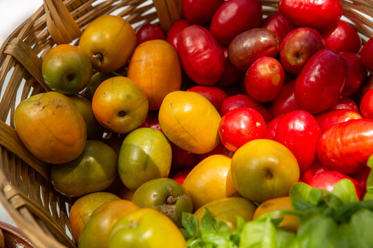 รูปภาพMexicana – เลือกดูภาพถ่ายสต็อก เวกเตอร์ และวิดีโอ14,730 | Adobe Stock