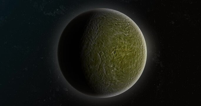 "Rhea Bird"-Bilder: Stock-Fotos & -Videos. | Adobe Stock