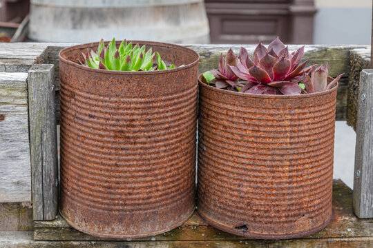 Blechtopf bilder – Bläddra bland 64 stockfoton, vektorer och videor ...