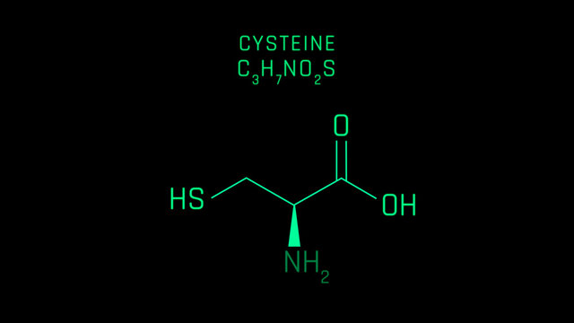 Cystein Bilder – Durchsuchen 1,202 Archivfotos, Vektorgrafiken und ...