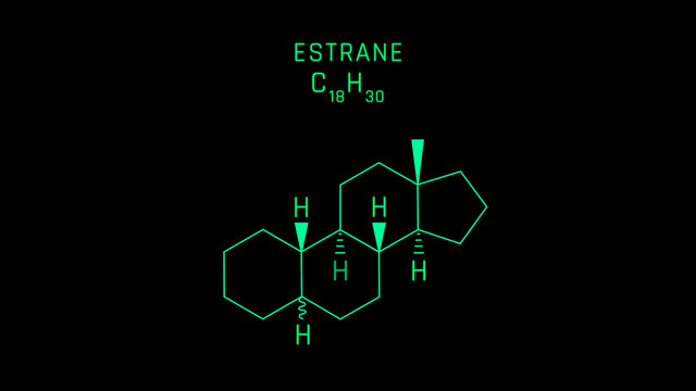 Gonane Images – Browse 7 Stock Photos, Vectors, and Video | Adobe Stock