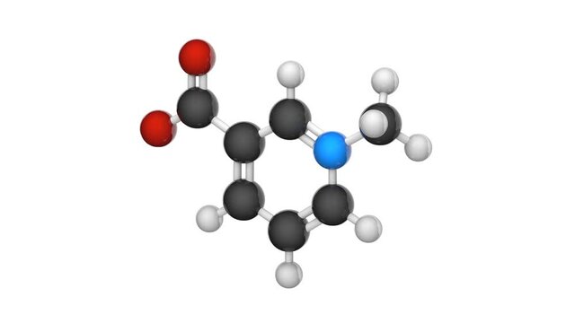 Trigonelline Images – Browse 52 Stock Photos, Vectors, and Video ...