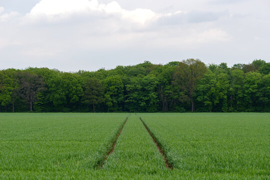 Printing Crop Marks Images – Browse 642 Stock Photos, Vectors, and ...