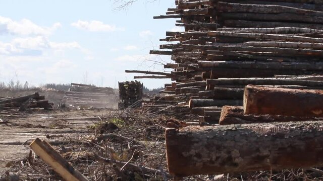 Cutover Images – Browse 130 Stock Photos, Vectors, and Video | Adobe Stock