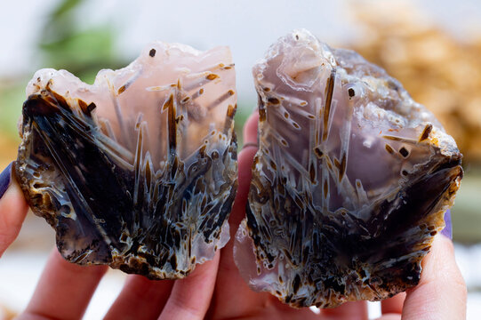 Imagens de Cawk – Explore Fotografias do Stock, Vetores e Vídeos de ...