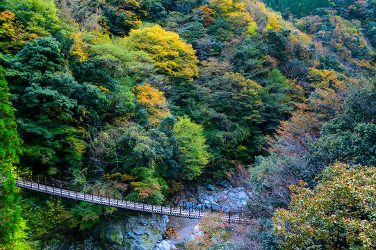 Imagens de Catamite – Explore Fotografias do Stock, Vetores e Vídeos de ...