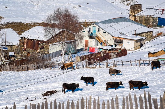 Azuren Bilder – Durchsuchen 508 Archivfotos, Vektorgrafiken und Videos ...