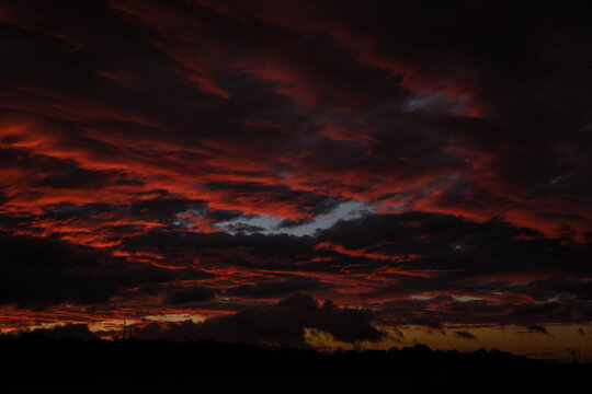 1,209,483 BEST Dusky IMAGES, STOCK PHOTOS & VECTORS | Adobe Stock