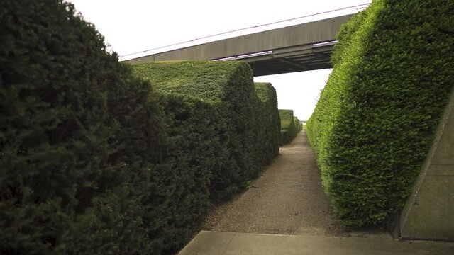 Bove Images – Browse 1,007 Stock Photos, Vectors, and Video | Adobe Stock