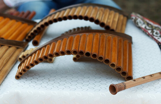 「Nai」の写真素材 | 10,974件の無料イラスト画像 | Adobe Stock