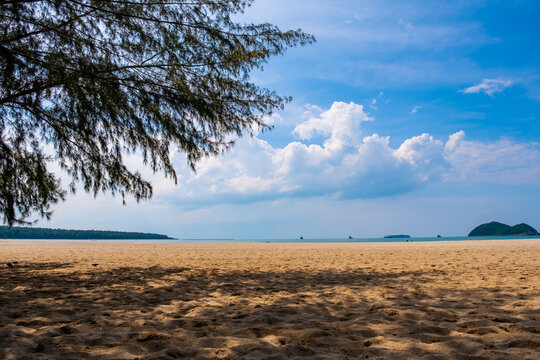 รูปภาพSamila – เลือกดูภาพถ่ายสต็อก เวกเตอร์ และวิดีโอ341 | Adobe Stock