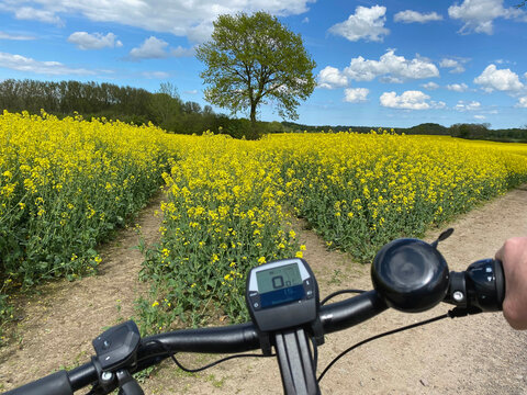 รูปภาพ"Radtour – เลือกดูภาพถ่ายสต็อก เวกเตอร์ และวิดีโอ9,249 | Adobe Stock