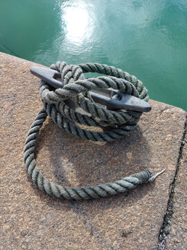 Haptera Bilder – Durchsuchen 1,419 Archivfotos, Vektorgrafiken und ...