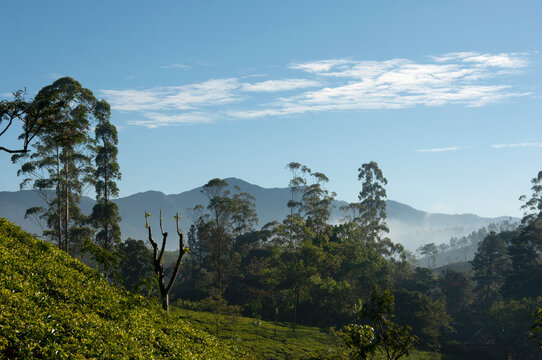 Anuradha photos, images, assets | Adobe Stock