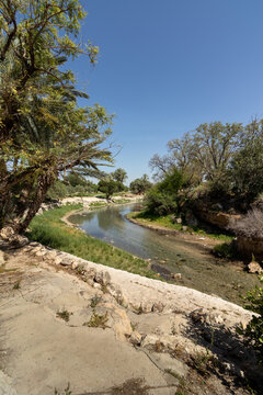 Sachne Images – Browse 37 Stock Photos, Vectors, and Video | Adobe Stock