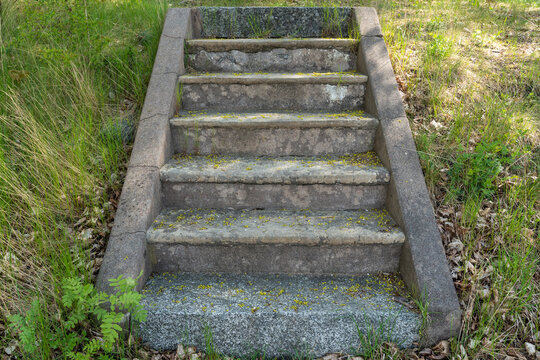 รูปภาพStep.stone – เลือกดูภาพถ่ายสต็อก เวกเตอร์ และวิดีโอ427,255 ...