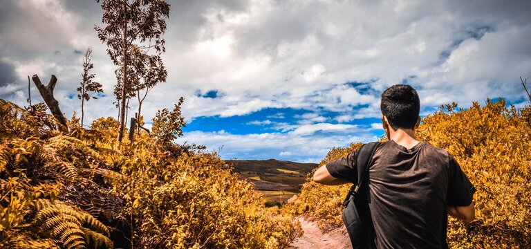 รูปภาพPiechur – เลือกดูภาพถ่ายสต็อก เวกเตอร์ และวิดีโอ975 | Adobe Stock