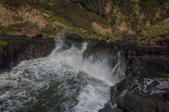 Tide-Pool Images – Browse 134 Stock Photos, Vectors, and Video | Adobe ...