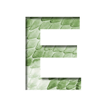 "E Font" Images – Browse 71 Stock Photos, Vectors, and Video | Adobe Stock