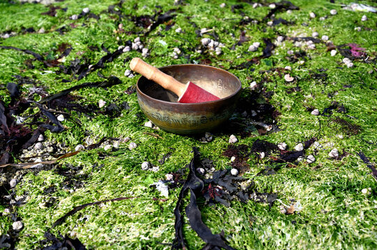 Impure Images – Browse 1,428 Stock Photos, Vectors, and Video | Adobe Stock