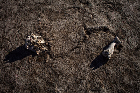 Inhospitable Images – Browse 116,615 Stock Photos, Vectors, and Video ...