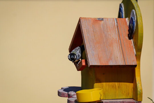 รูปภาพZitze – เลือกดูภาพถ่ายสต็อก เวกเตอร์ และวิดีโอ138 | Adobe Stock