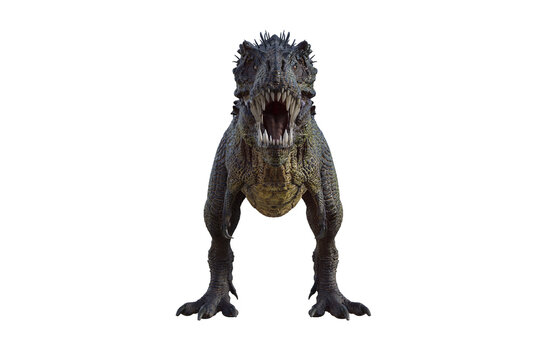 Amygdalodon bilder – Bläddra bland 70 stockfoton, vektorer och videor ...