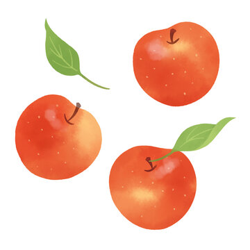 「りんご」の写真素材 | 5,080,039件の無料イラスト画像 | Adobe Stock