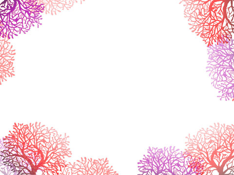 Coral Reef Border Images – Browse 5,418 Stock Photos, Vectors, and ...