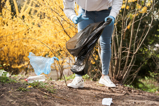Garbish Bilder – Durchsuchen 26 Archivfotos, Vektorgrafiken und Videos ...