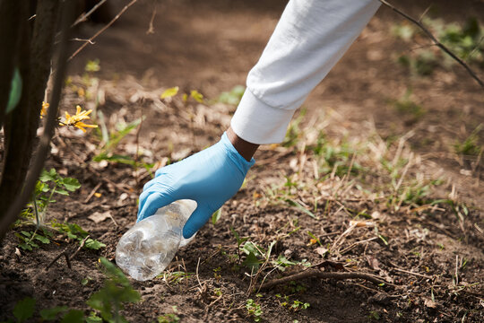 Garbish Bilder – Durchsuchen 26 Archivfotos, Vektorgrafiken und Videos ...