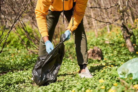Garbish Bilder – Durchsuchen 26 Archivfotos, Vektorgrafiken und Videos ...