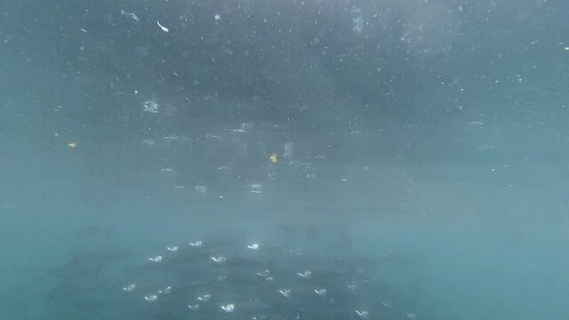 รูปภาพFortage – เลือกดูภาพถ่ายสต็อก เวกเตอร์ และวิดีโอ12 | Adobe Stock