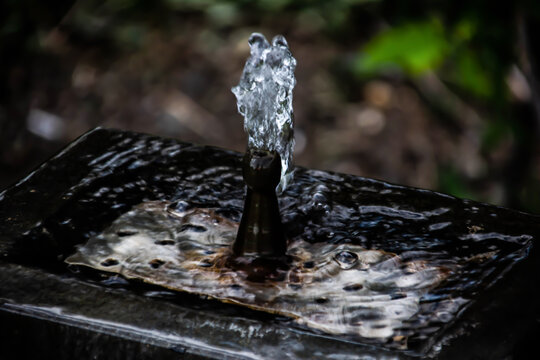 Pulpulak Images – Browse 22 Stock Photos, Vectors, and Video | Adobe Stock