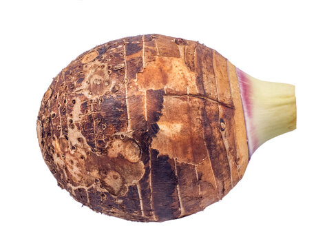 รูปภาพDasheen – เลือกดูภาพถ่ายสต็อก เวกเตอร์ และวิดีโอ28,053 | Adobe Stock