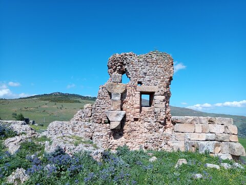 Adri Images – Browse 47 Stock Photos, Vectors, and Video | Adobe Stock